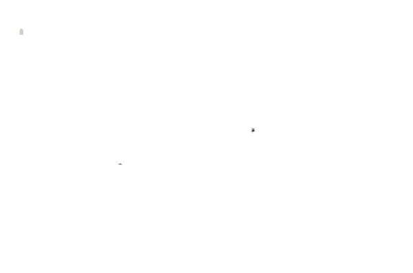 Euro | Wall Mount Pot Filler Faucet