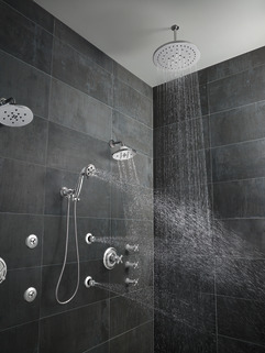 Essential™ Shower Series | Hydrachoice Max® Round Body Spray Trim