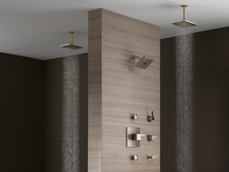 Brizo® | Multi-Function Slide Bar Hand Shower