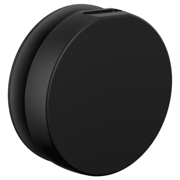 Brizo | Mystix™ Round Steam Head