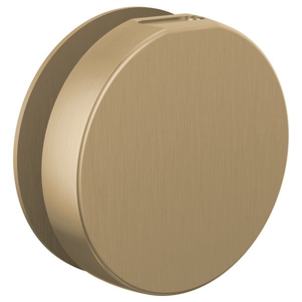 Brizo | Mystix™ Round Steam Head