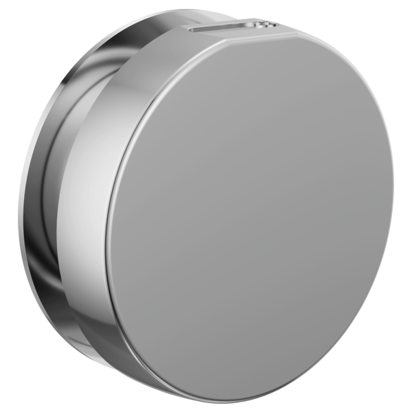 Brizo | Mystix™ Round Steam Head