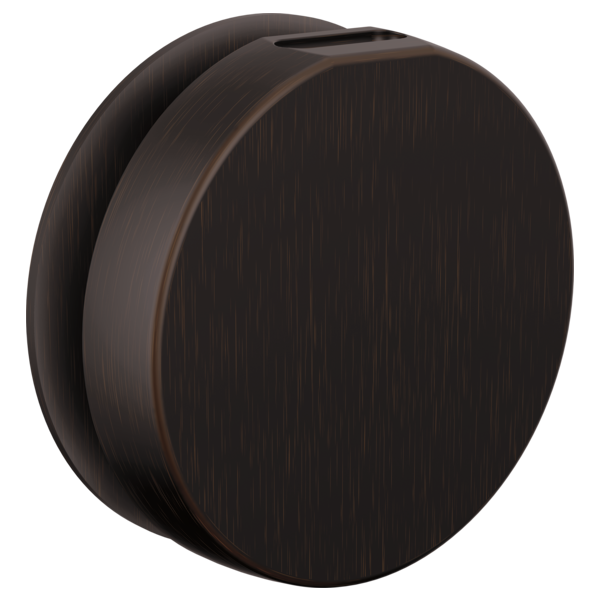 Brizo | Mystix™ Round Steam Head